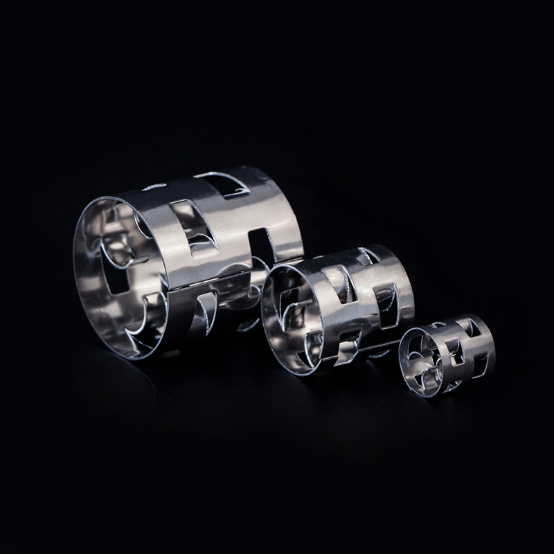 Super Duplex Stainless Steel Pall Ring Packing - Fxsino.com